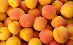 ️ Fruta de Chabacano (Prunus armeniaca) | Guía Completa 2026