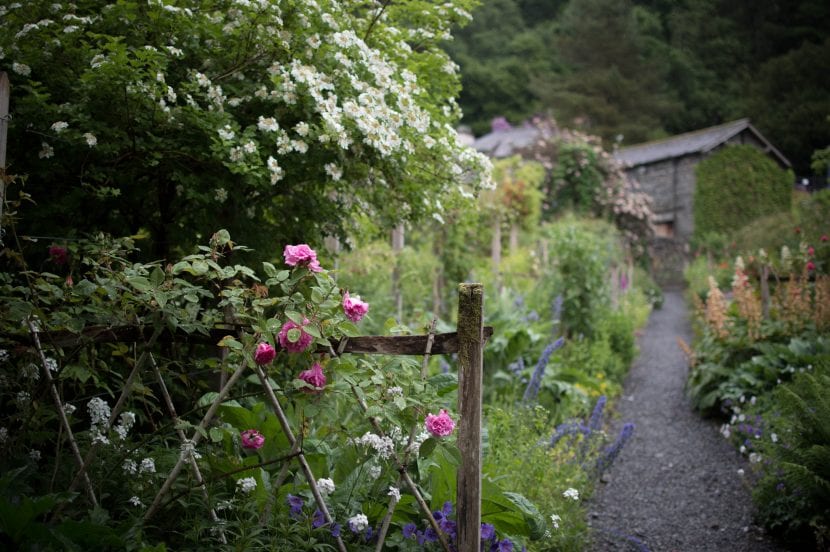 ️ Consejos para diseñar un jardín rural | Guía Completa 2024 ️ Consejos para diseñar un jardín rural | Guía Completa 2024