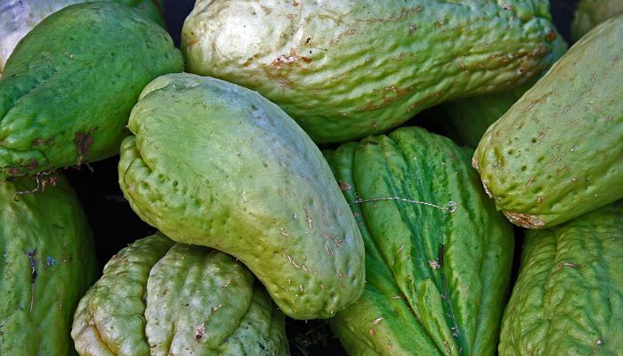 ️ 12 Beneficios Y Propiedades De La Cidra. | PlantasYFLores.pro | Guía ...