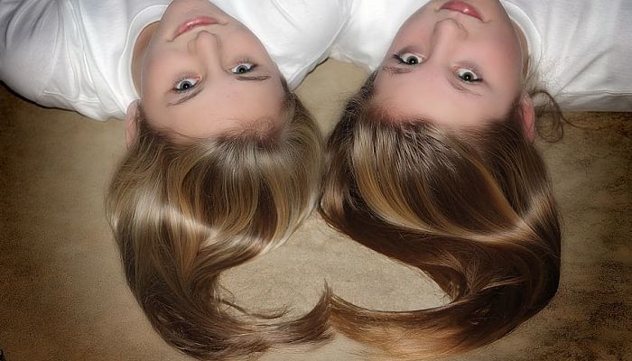 ️ 12 Beneficios Y Propiedades De La Zamboa | Guía Completa 2022