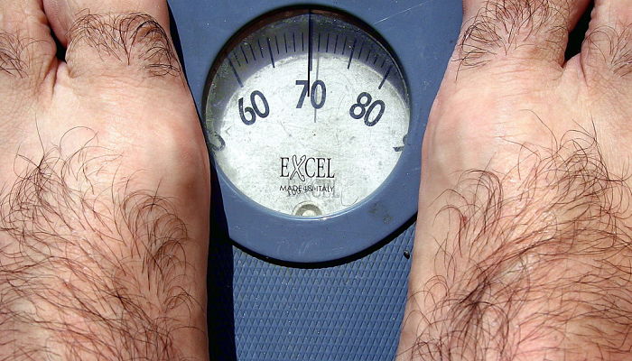 ️ 8 Beneficios Y Propiedades Del Caujil | Guía Completa 2023