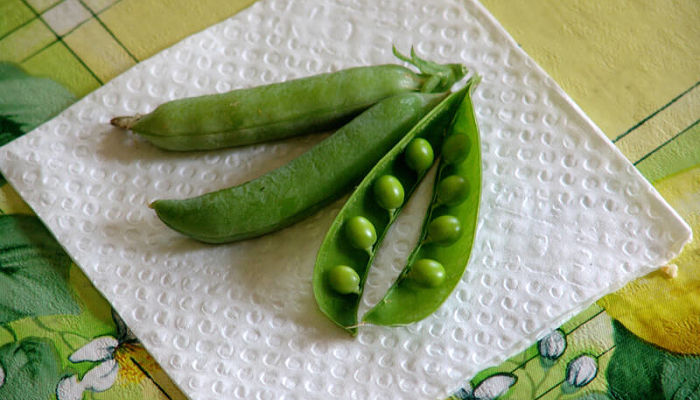 ️ 10 Beneficios Y Propiedades Del Chicharo. | Guía Completa 2022