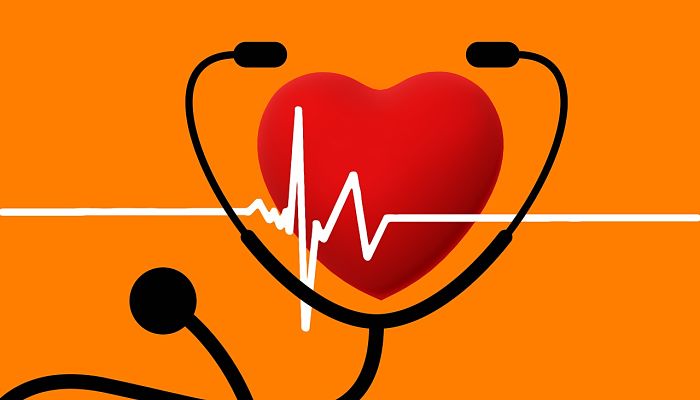 ️ 10 Beneficios Y Propiedades Del Chordon | Guía Completa 2024