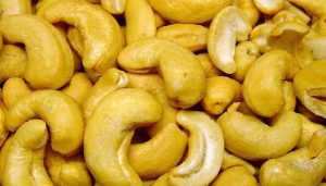 ️ Cajuil. Origen, Características, Variedades, Cultivo, Cuidados Y Usos ...