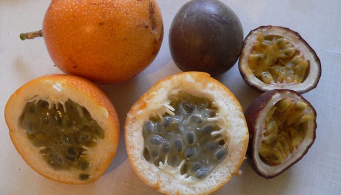 ️ Granadilla (Passiflora ligularis). Origen, Cultivo, Cuidados Y Usos ...