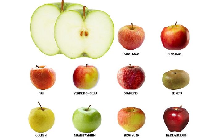 ️ Manzano: Origen, Descripción, Tipos, Cultivo, Cuidados, Usos Y Más ... ️ Manzano: Origen, Descripción, Tipos, Cultivo, Cuidados, Usos Y Más ...