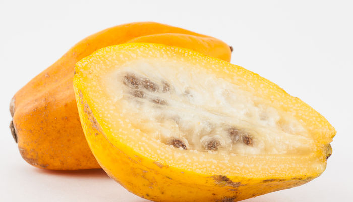 ️ Papayuela. Origen, Descripción, Cultivo, Cuidados, Propiedades | Guía ...