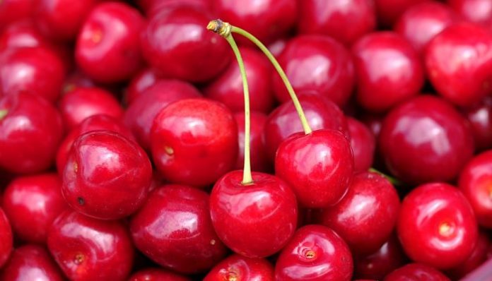 ️ 10 Plantas Con Bolitas Rojas. Las Más Populares Y Sus Utilidades ...