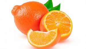 ️ Tangelo (Citrus x tangelo). Origen, Descripción, Cultivo | Guía ...
