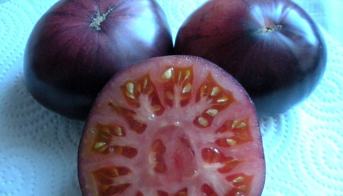 ️ Tomate Azul. Origen, Descripción, Cultivo, Cuidados, Propiedades ...